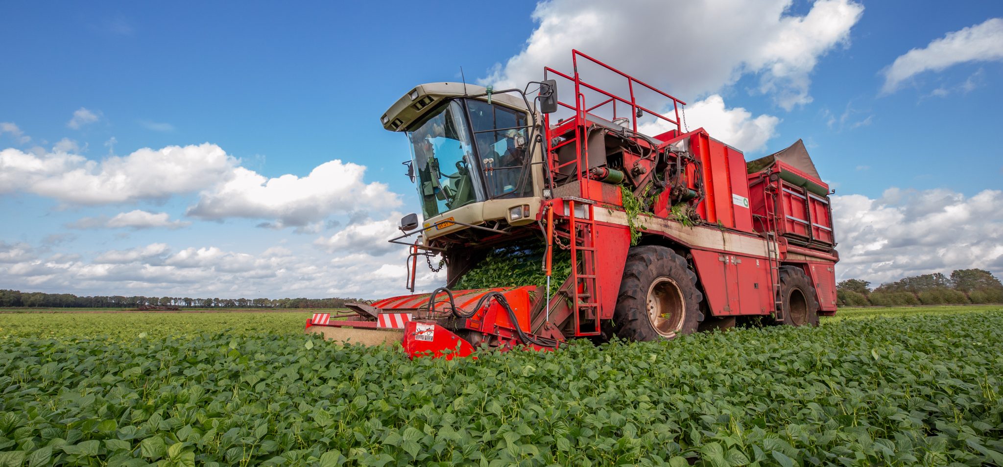 vanRijsingengreen ready for innovation with SAP S/4HANA | Quinso