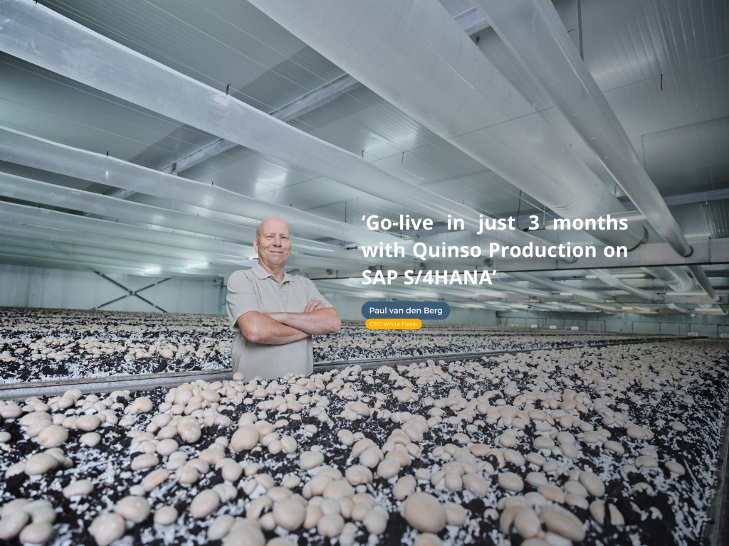 Quinso Production on SAP S/4HANA - Quinso